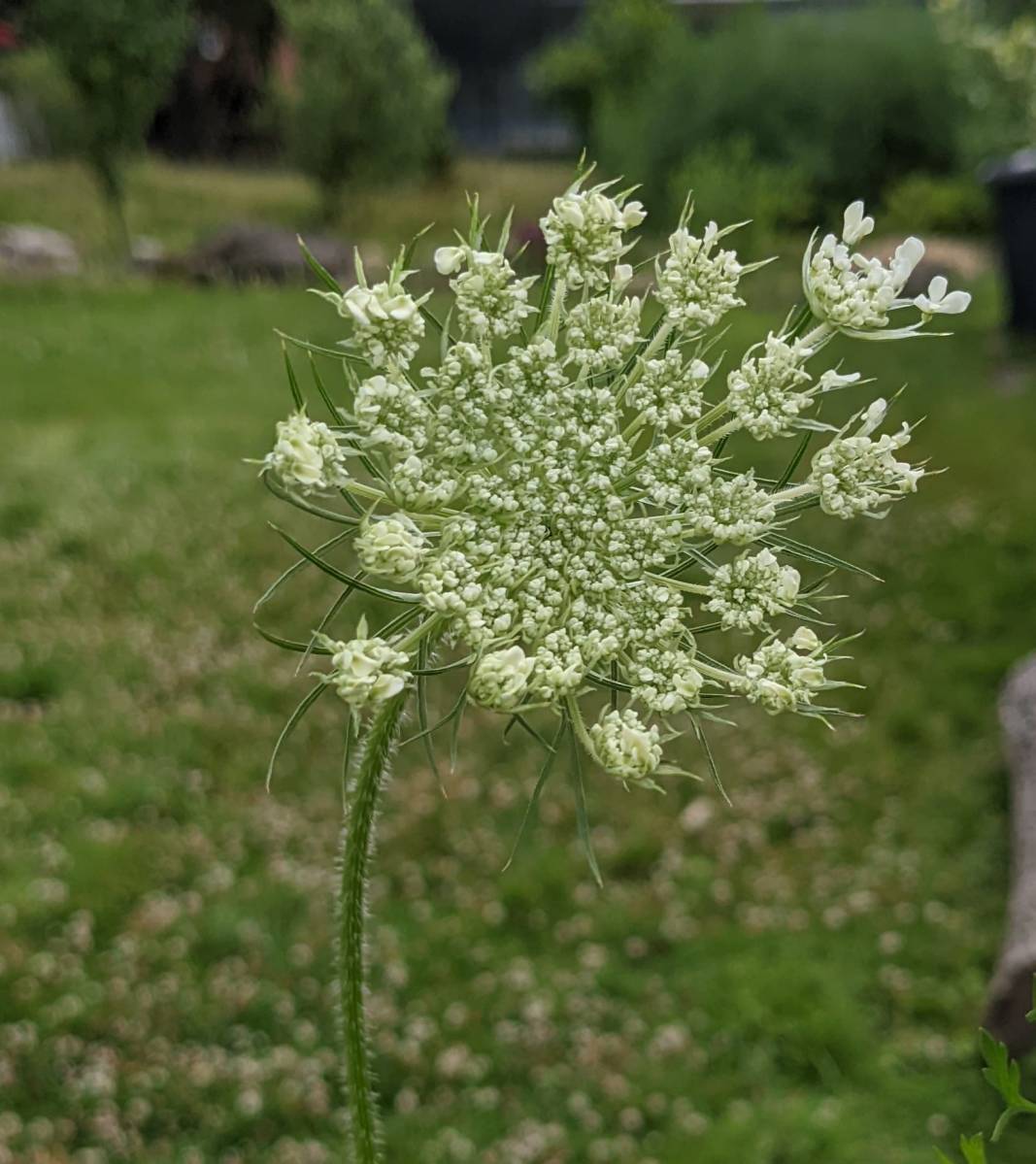 Talk: World as conduit for Spirit – Love's Beginning